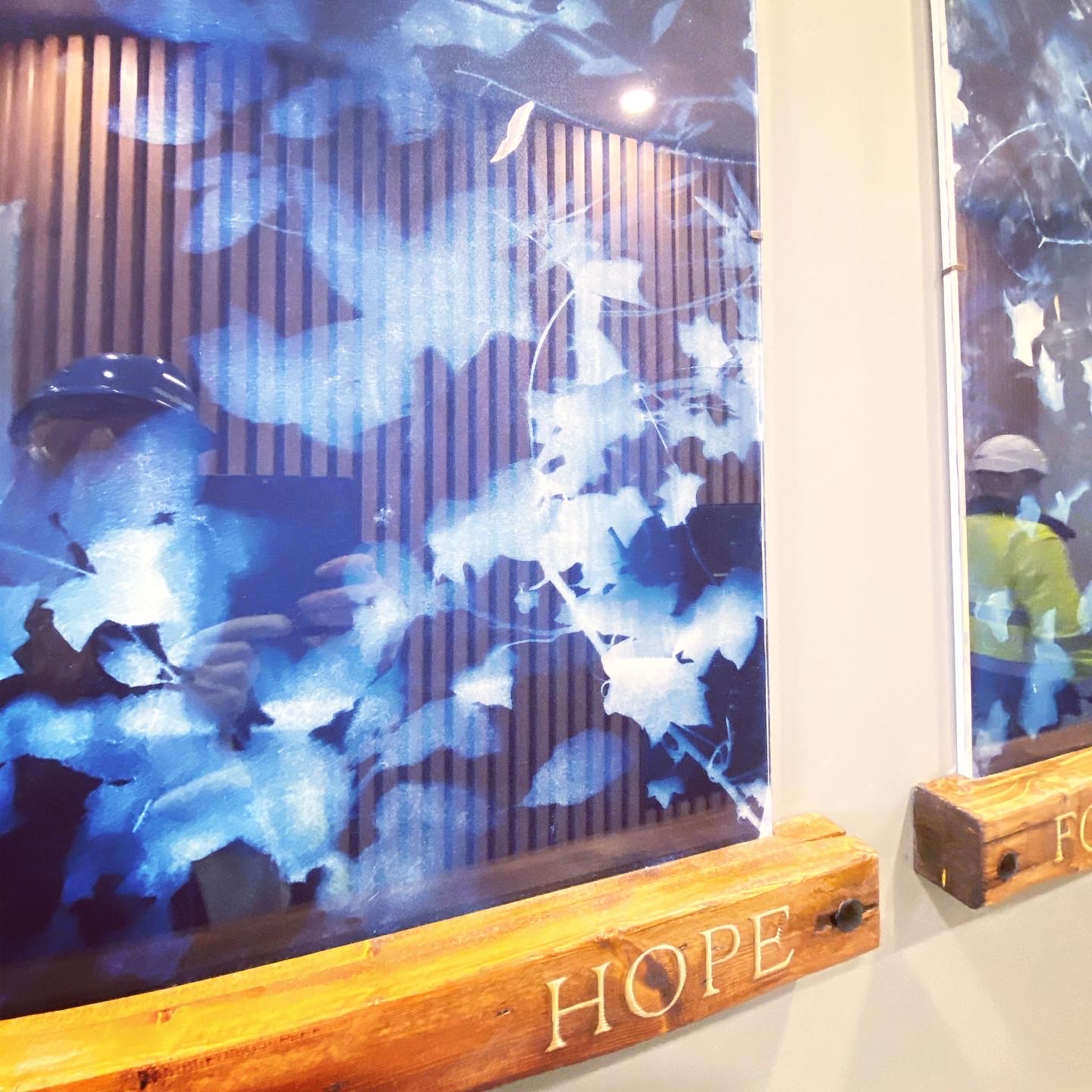 Timberyard Commission – Sarah Garrod