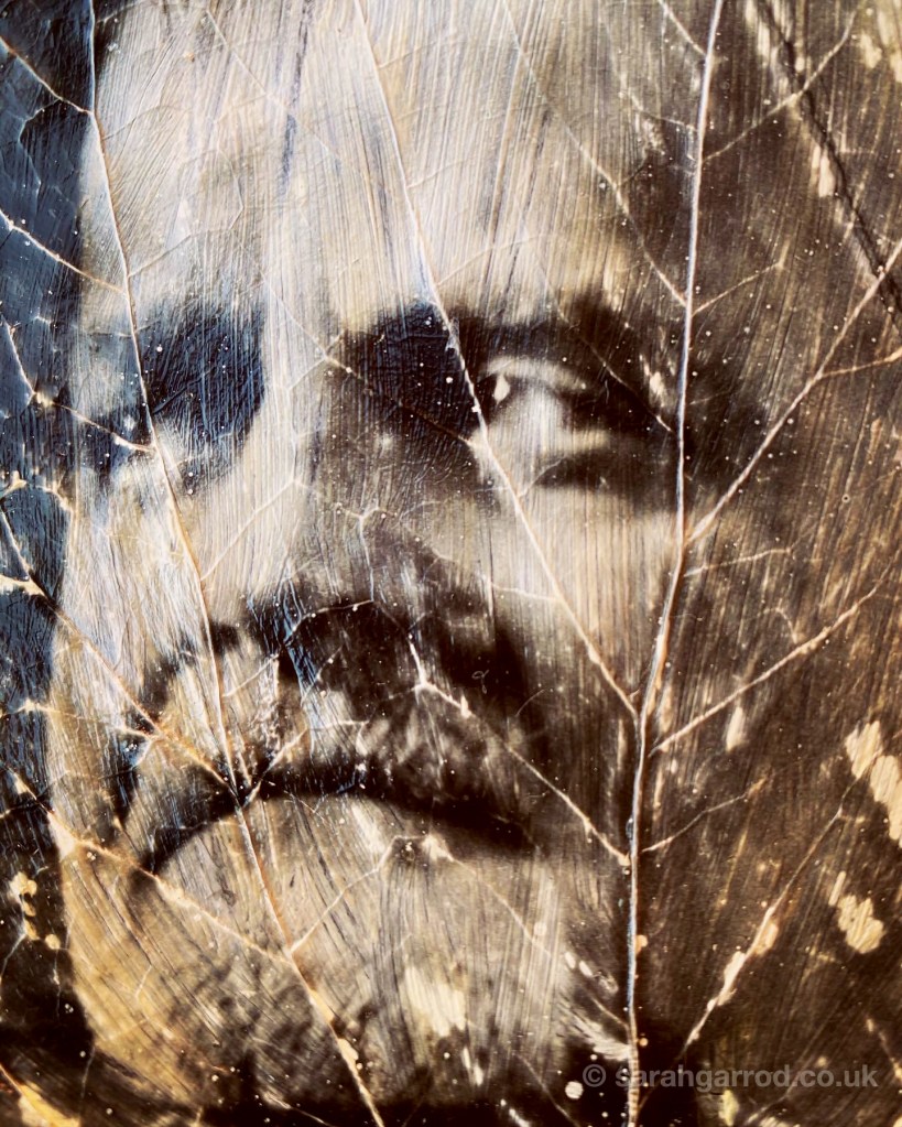 Leaf Project – Sarah Garrod