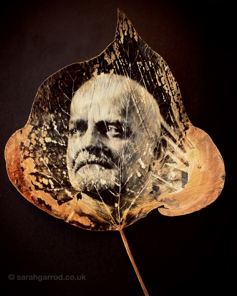 Leaf Project – Sarah Garrod