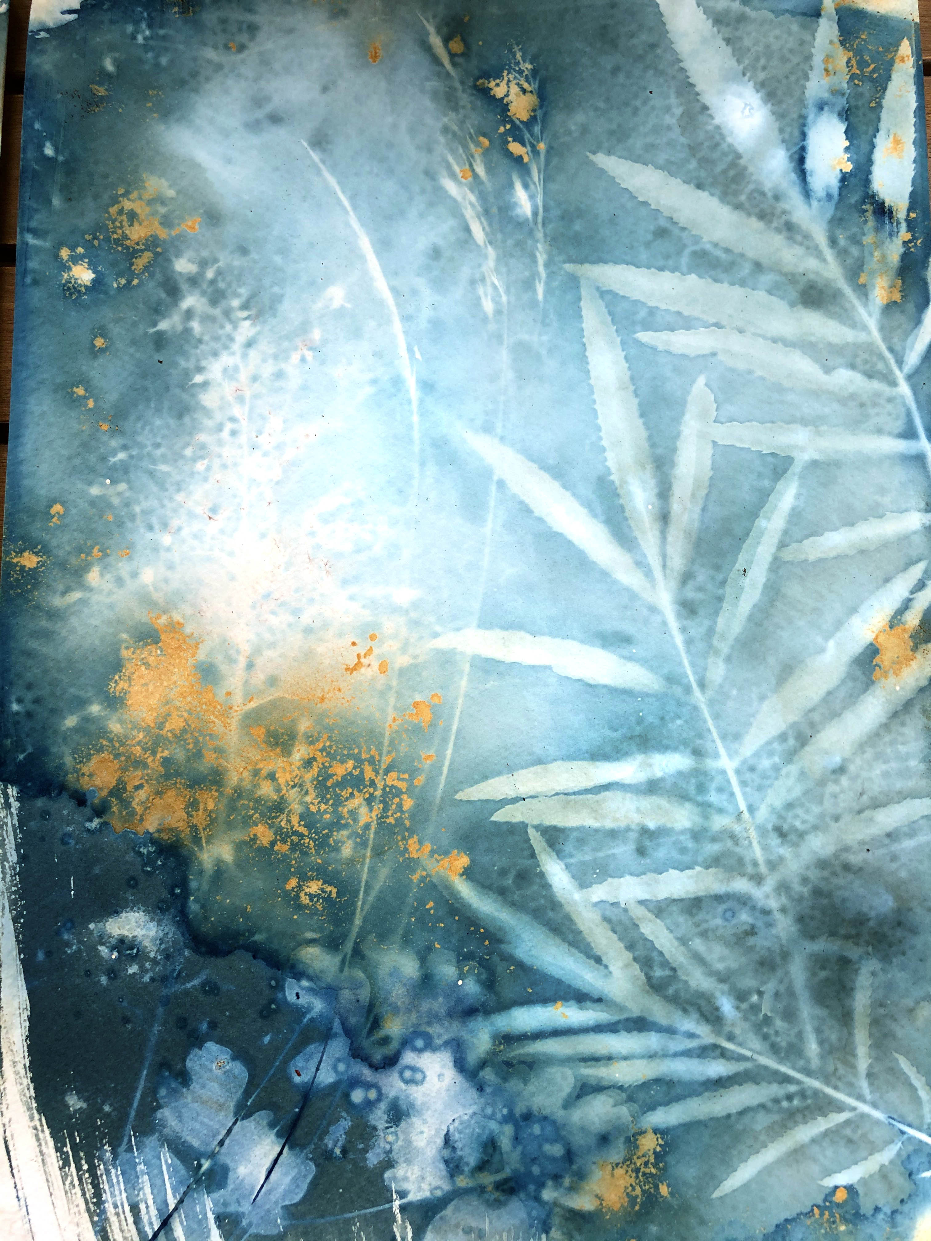 Summer Online – Sarah Garrod